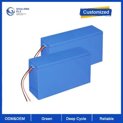 China Lifepo4 Lithium Ion Battery Pack OEM 18650 overcharge protection for sale
