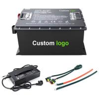 China 48V EV Lithium Battery Packaging LiFePO4 LFP Cells Prismatic 18650 21700 Cylindrical Battery Type Solutions for Electric Vehicles for sale