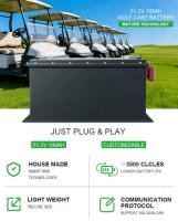 China OEM ODM LiFePO4 MAX BMS 200A Golf Cart Battery Electric Lithium Ion Battery Packs High Capacity 51.2v 105ah for sale