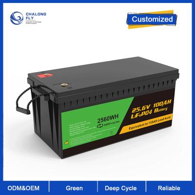China Bms Lithium Battery 12.8v 100ah 150ah 200ah 300ah Lithium Iron Phosphate Battery Lifepo4 for Rv Marine for sale