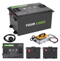 China 80Ah 40Ah 60Ah 100Ah 120Ah Optional Nominal Capacity Electric Vehicle Battery Pack Equipped with RS485 Communication for sale
