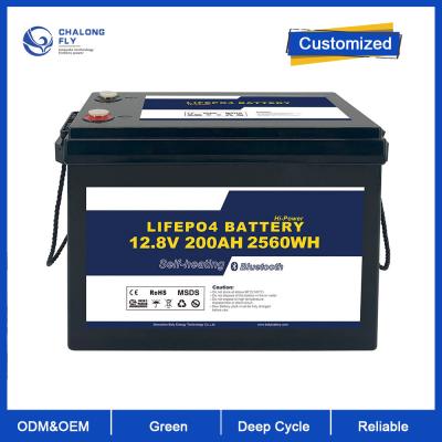 China 24V 300Ah LiFePO4 RV Lithium Battery with 7680Wh High Capacity and 6,000 Cycles IP65 Rated Portable Energy Storage System for sale
