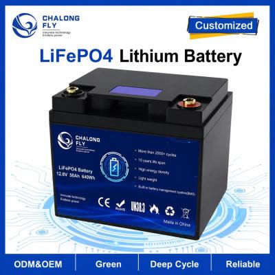 China Custom 12.8V 50Ah LiFePO4 Battery Pack with Built-in BMS for RV Campervan and Auxiliary Power for sale
