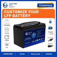 China Custom 12.8V 50Ah LiFePO4 Battery Pack with Built-in BMS for RV Campervan and Auxiliary Power for sale