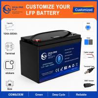 China Custom 12.8V 100Ah LiFePO4 Battery Pack with BMS for Solar Street Lights and RV Auxiliary Power for sale