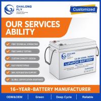 China Custom 12.8V 100Ah LiFePO4 Battery Pack with BMS for Solar Street Lights and RV Auxiliary Power for sale