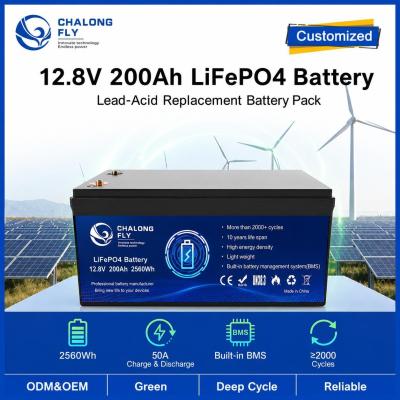 China Custom 12.8V 200Ah LiFePO4 Battery Pack with BMS for Portable Power and Solar Storage for sale