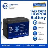 China Custom 12.8V 314Ah LiFePO4 Battery Pack with BMS for Portable Power and Solar Storage for sale