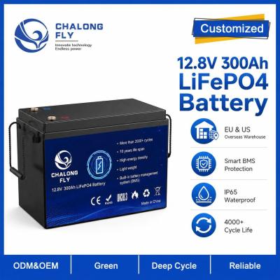China Custom 12.8V 314Ah LiFePO4 Battery Pack with BMS for Portable Power and Solar Storage for sale