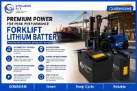 China Custom 48V 560Ah LiFePO4 Forklift Battery with Smart BMS for Electric Forklifts for sale