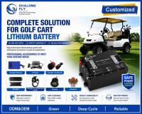 China OEM ODM LiFePO4 Golf Cart Battery with Custom Voltage Custom BMS and CAN Communication for sale