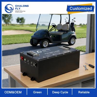 China OEM ODM LiFePO4 Golf Cart Battery with Custom Voltage Custom BMS and CAN Communication for sale