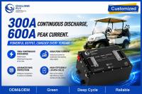 China Smart LiFePO4 Golf Cart Battery with APP Monitoring and 105Ah 210Ah Capacity in 36V 48V 72V 96V Options for sale
