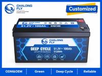 China 51.2V 100Ah LiFePO4 Trolling Motor Battery with 5.12kWh Energy, Bluetooth Monitoring, and 100A Continuous Output for sale