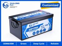 China 51.2V 100Ah LiFePO4 Trolling Motor Battery with 5.12kWh Energy, Bluetooth Monitoring, and 100A Continuous Output for sale