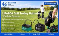 China 12.8V 18Ah 24Ah LiFePO4 Golf Trolley Battery with T-Bar Connector for sale
