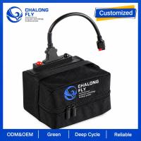 China 12.8V 18Ah 24Ah LiFePO4 Golf Trolley Battery with T-Bar Connector for sale