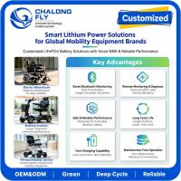 China 12.8V 30Ah LiFePO4 Deep Cycle Battery with 384Wh Energy and Smart BMS for 12V Systems for sale