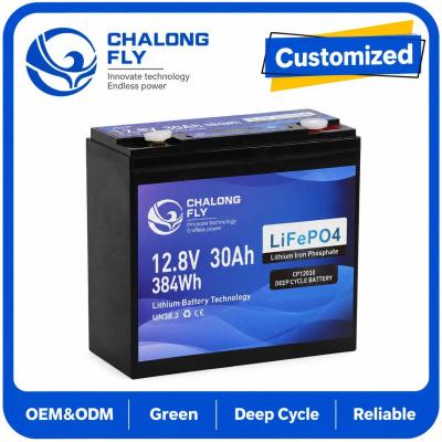 China 12.8V 30Ah LiFePO4 Deep Cycle Battery with 384Wh Energy and Smart BMS for 12V Systems for sale