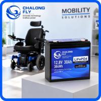 China 12.8V 30Ah LiFePO4 Deep Cycle Battery with 384Wh Energy and Smart BMS for 12V Systems for sale