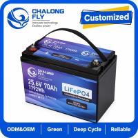 China 25.6V 70Ah LiFePO4 Battery with Bluetooth Remote Diagnostics and 1.792kWh for Mobility Scooters and Wheelchairs for sale