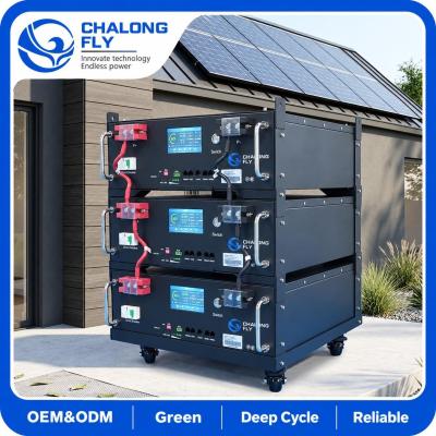 China 51.2V 5kWh 10kWh Rack Mounted LiFePO4 Battery for Residential Solar Energy Storage for sale