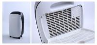 China CCC R134a 250W Home Portable Air Dehumidifier 11.5L / Day for sale