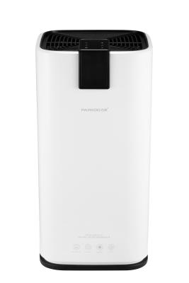 China 2200ml R290 Refrigerant Dehumidifier for sale
