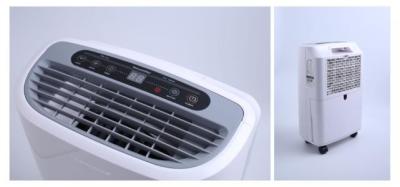 China Cheap Price Strong Dehumidifying Portable Easy Home Dehumidifier With AC/DC Adapter for sale