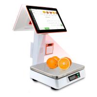 China 15.6 Inch AI Weighing Scale POS Terminal Built In Printer Win10 & Android System for sale