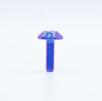 China Blue Purple Gradient Tc4 Motorcycle Titanium Alloy Screws ANSI ASME Standard for sale