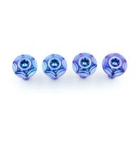 China Blue Purple Gradient Tc4 Motorcycle Titanium Alloy Screws ANSI ASME Standard for sale