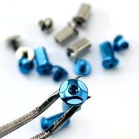 China Main Shaft Titanium Screws Three Shank 812 Shank Screw Customized for sale