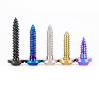 China TC4 Titanium Screws Self Tapping Flying Saucer Head Screw For Motorcycle Decoration for sale