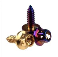 China M4 M5 Titanium Screws 304 Stainless Steel Flange Head Self Tapping Screws for sale