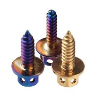 China M4 M5 Titanium Screws 304 Stainless Steel Flange Head Self Tapping Screws for sale