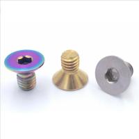 China Custom Titanium Screws Fasteners TC4 Mountain Bike Single Disc Screw for sale
