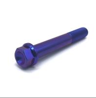 China ISO9001 External Hexagon Screw Flange Screw Titanium Alloy Automotive Fastener for sale