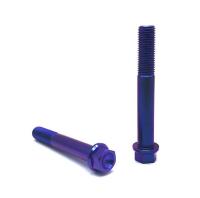 China ISO9001 External Hexagon Screw Flange Screw Titanium Alloy Automotive Fastener for sale