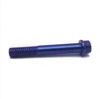 China ISO9001 External Hexagon Screw Flange Screw Titanium Alloy Automotive Fastener for sale