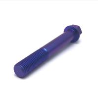 China ISO9001 External Hexagon Screw Flange Screw Titanium Alloy Automotive Fastener for sale
