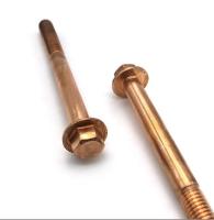 China High Strength Hexagon Screw Bolts M6 Hot Dipped Galvanized Hex Bolts Non Standard Fastener for sale