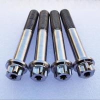 China Titanium Alloy Flange Bolts Screws Customized Modified Titanium Bolts for sale