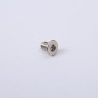 China SS 304 Flat Head Hex Socket Screw British Hexagon Socket Countersunk Head Screw for sale