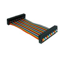 China Custom 2.54mm 12 Pin Ribbon Cable IDC Socket UL2651 28AWG Flat Wire Assembly for sale