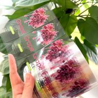 China High-Quality Custom Waterproof Labels for Bottles and Canisters with Water-Resistant Finish for sale