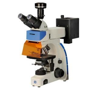 China Digital Trinocular Fluorescence Microscope LF-302 for sale