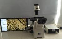 China Trinocular Inverted Biological Microscope For Research Cell Culture for sale