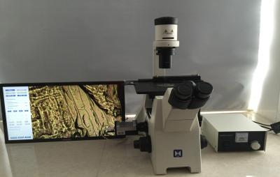 China Trinocular Inverted Biological Microscope For Research Cell Culture for sale