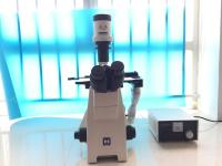 China Trinocular Inverted Biological Microscope For Research Cell Culture for sale